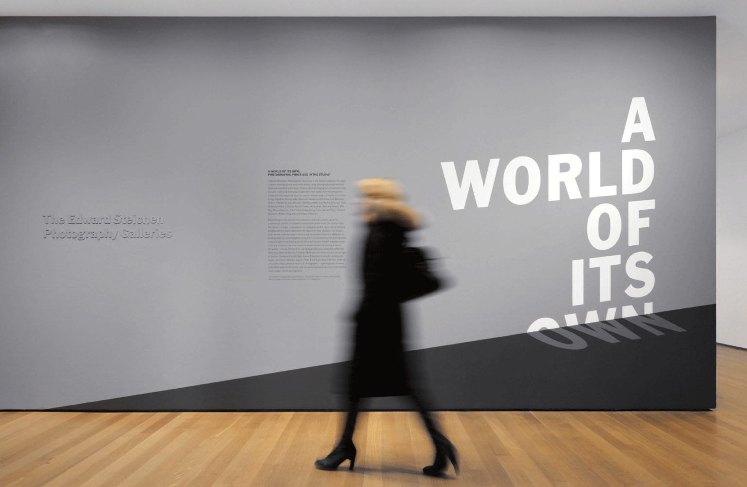 MoMA Exhibitions - Mike Abbink